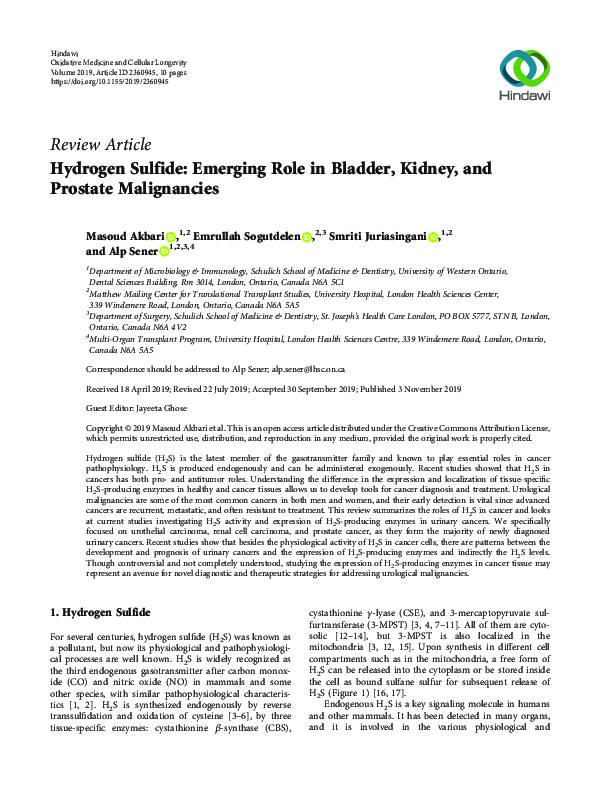 (PDF) Hydrogen Sulfide: Emerging Role in Bladder, Kidney, and Prostate ...