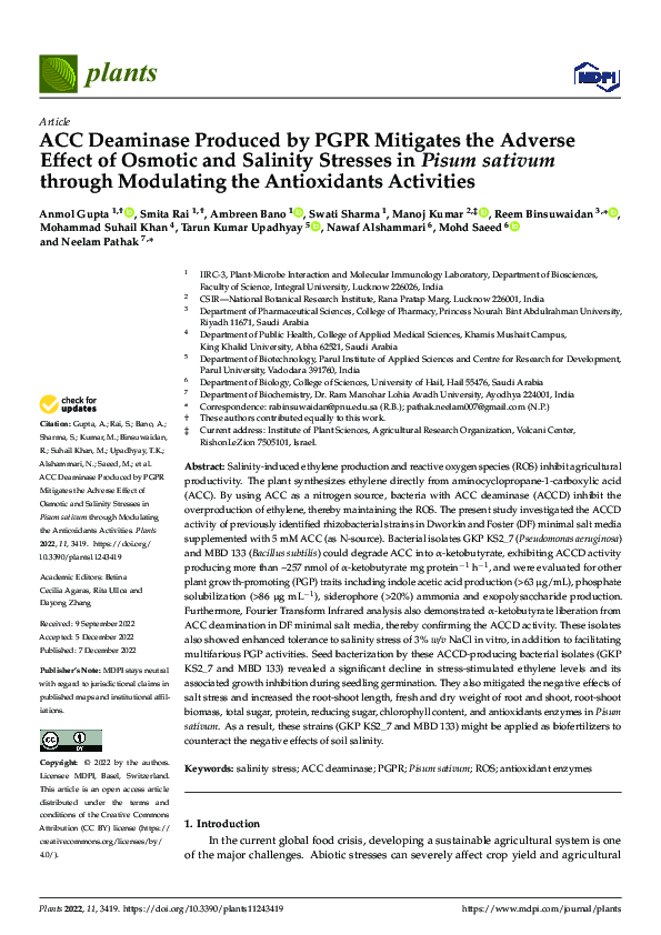 (PDF) ACC Deaminase Produced by PGPR Mitigates the Adverse Effect of ...
