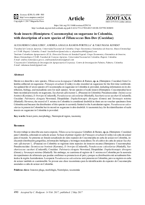 (PDF) Scale insects (Hemiptera: Coccomorpha) on sugarcane in Colombia ...