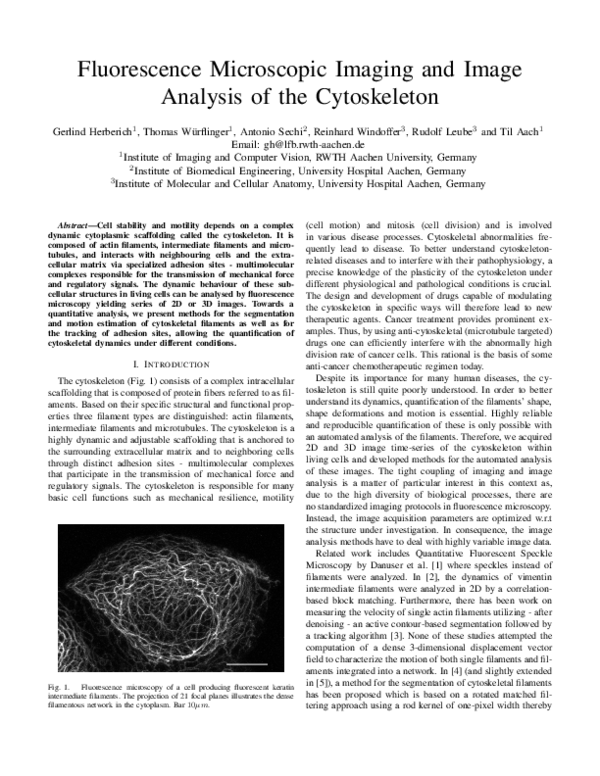(PDF) Fluorescence microscopic imaging and image analysis of the ...