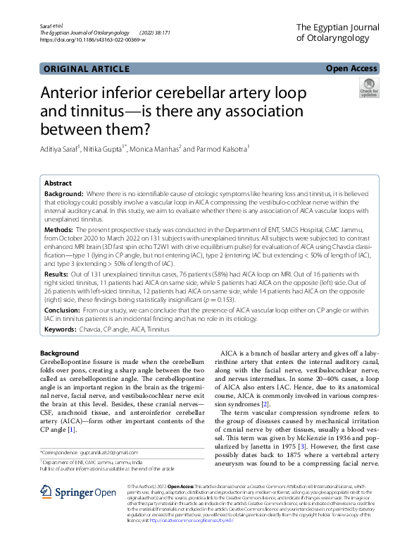 (PDF) Anterior inferior cerebellar artery loop and tinnitus—is there ...