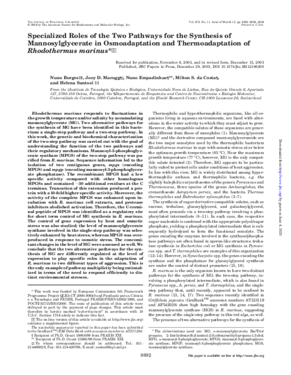 (PDF) Specialized Roles of the Two Pathways for the Synthesis of ...