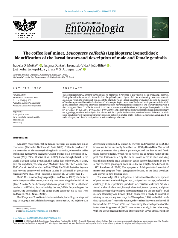 (PDF) The coffee leaf miner, Leucoptera coffeella (Lepidoptera ...
