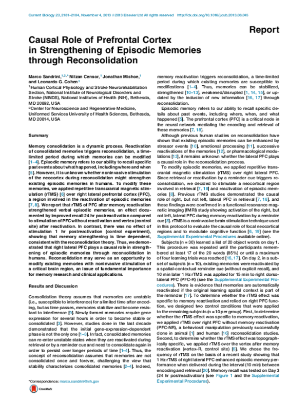 (PDF) Causal Role of Prefrontal Cortex in Strengthening of Episodic ...