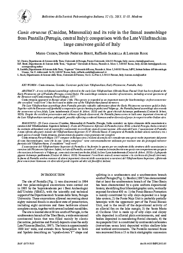 (PDF) Canis etruscus (Canidae, Mammalia) and its role in the faunal ...