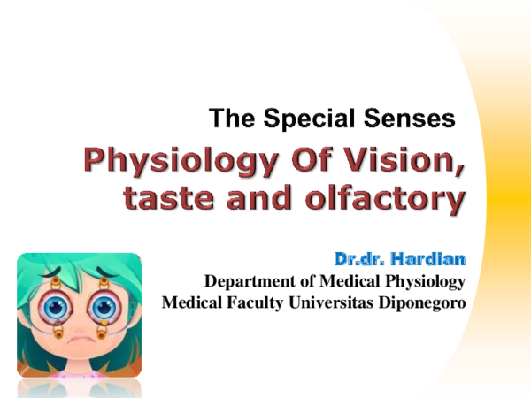 (PDF) Physiology of vision