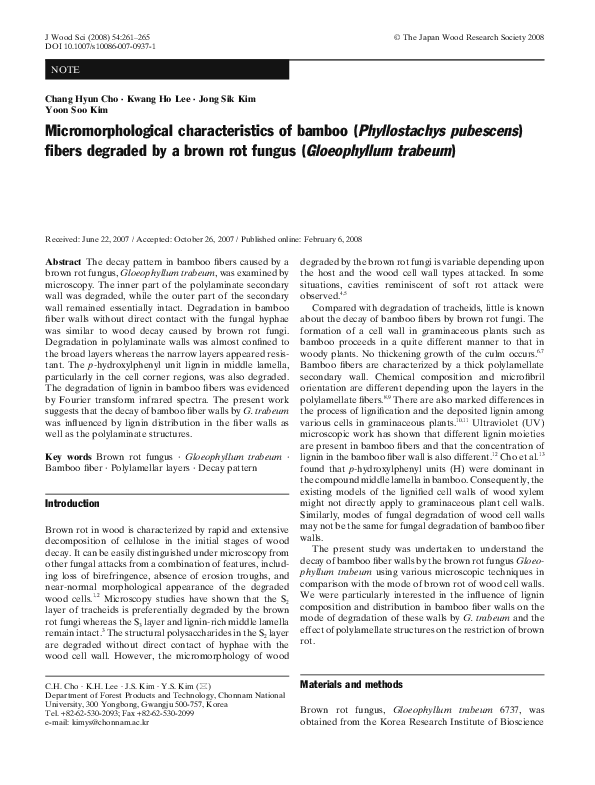 (PDF) Micromorphological characteristics of bamboo (Phyllostachys ...