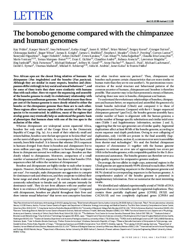(PDF) The bonobo genome compared with the chimpanzee and human genomes