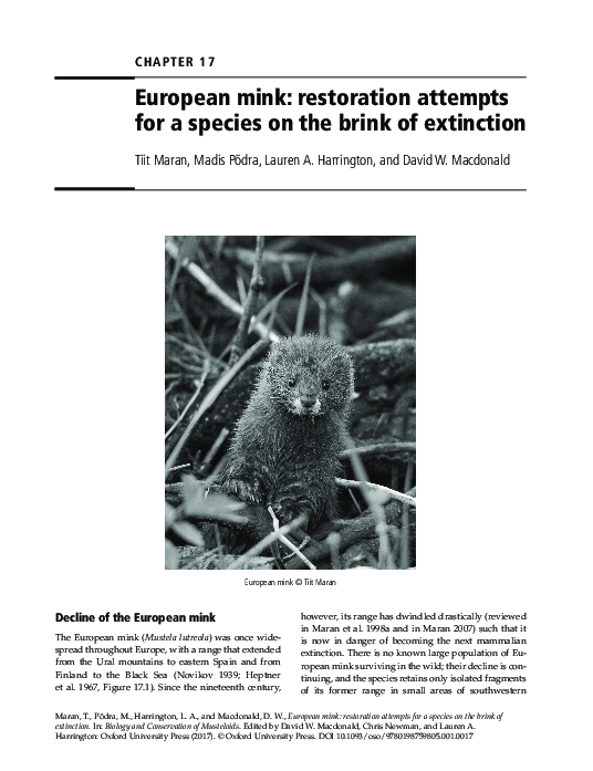 (PDF) European mink: restoration attempts for a species on the brink of ...
