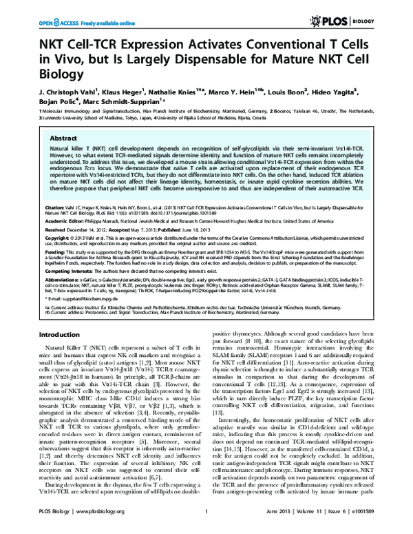 (PDF) NKT Cell-TCR Expression Activates Conventional T Cells in Vivo ...