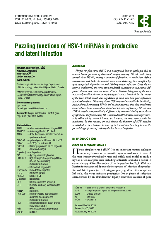 (PDF) Puzzling functions of HSV-1 miRNAs in productive and latent infection