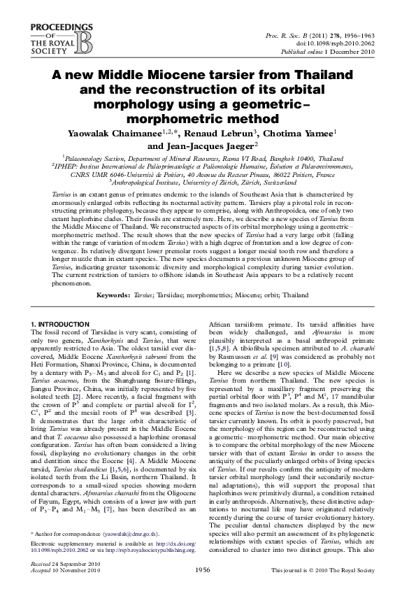 (PDF) A new Middle Miocene tarsier from Thailand and the reconstruction ...