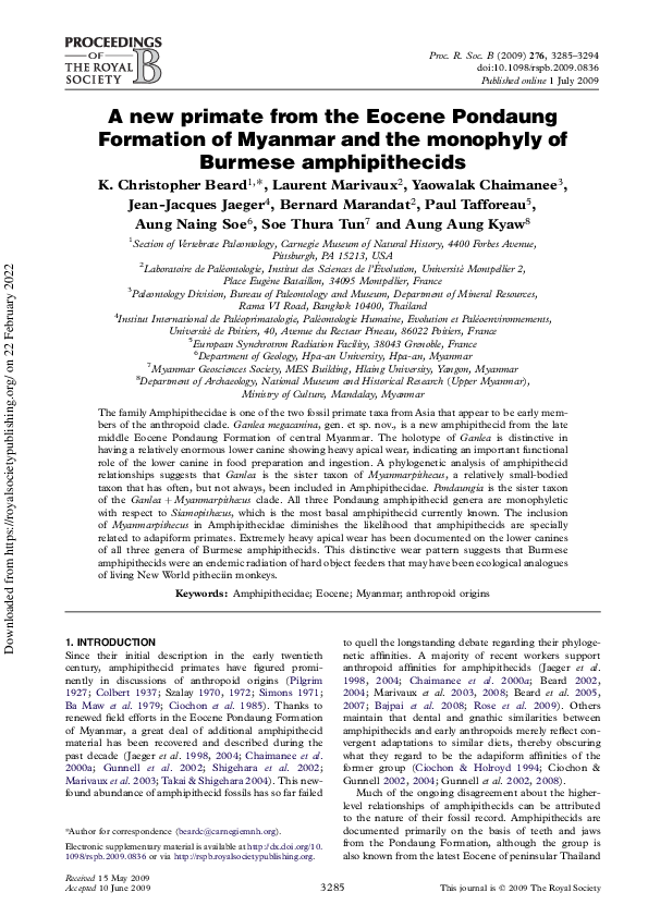 (PDF) A new primate from the Eocene Pondaung Formation of Myanmar and ...
