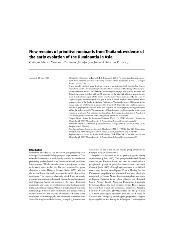(PDF) New remains of primitive ruminants from Thailand: evidence of the ...
