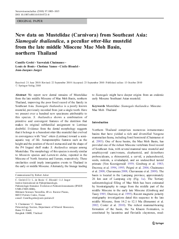 (PDF) New data on Mustelidae (Carnivora) from Southeast Asia: Siamogale ...