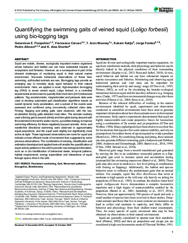 (PDF) Quantifying the swimming gaits of veined squid (Loligo forbesi ...