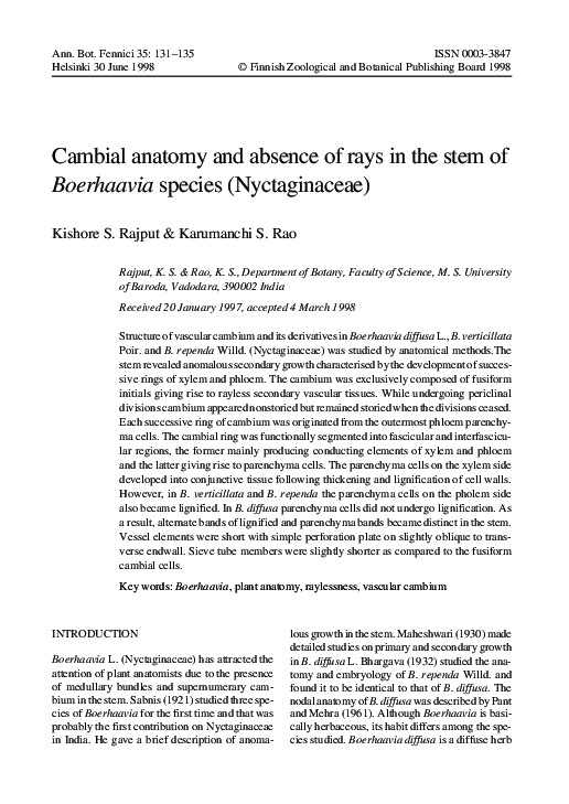 (PDF) Cambial anatomy and absence of rays in the stem of Boerhaavia ...
