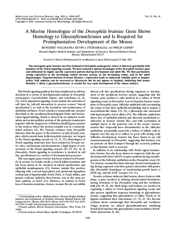 (PDF) A Murine Homologue of the Drosophila brainiac Gene Shows Homology ...