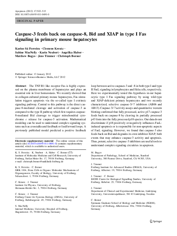 (PDF) Caspase-3 feeds back on caspase-8, Bid and XIAP in type I Fas ...