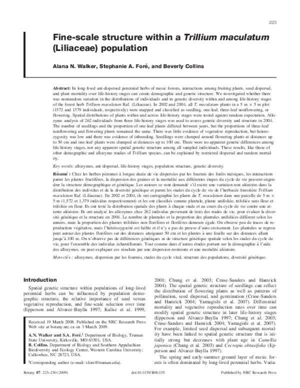 (PDF) Fine-scale structure within a Trillium maculatum (Liliaceae ...