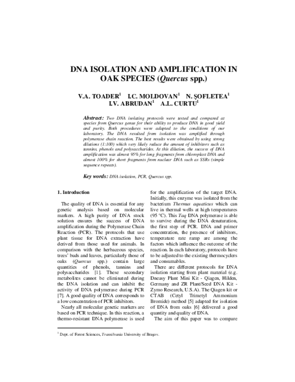 (PDF) DNA ISOLATION AND AMPLIFICATION IN OAK SPECIES (Quercus spp.)