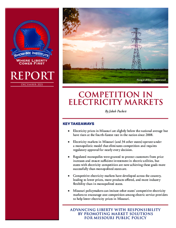 (PDF) Competition in Electricity Markets