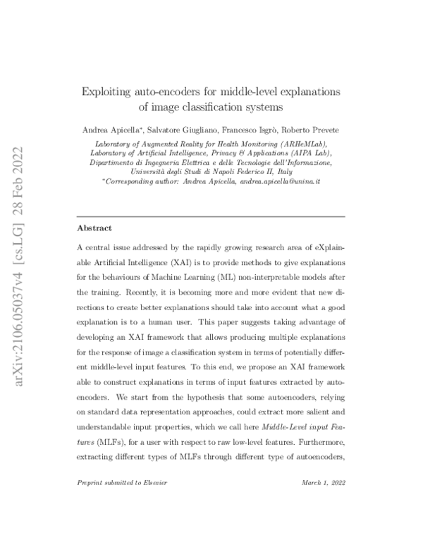 (PDF) Exploiting auto-encoders for middle-level explanations of image classification systems