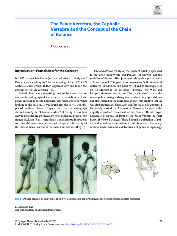 (PDF) The Pelvic Vertebra, the Cephalic Vertebra and the Concept of the ...