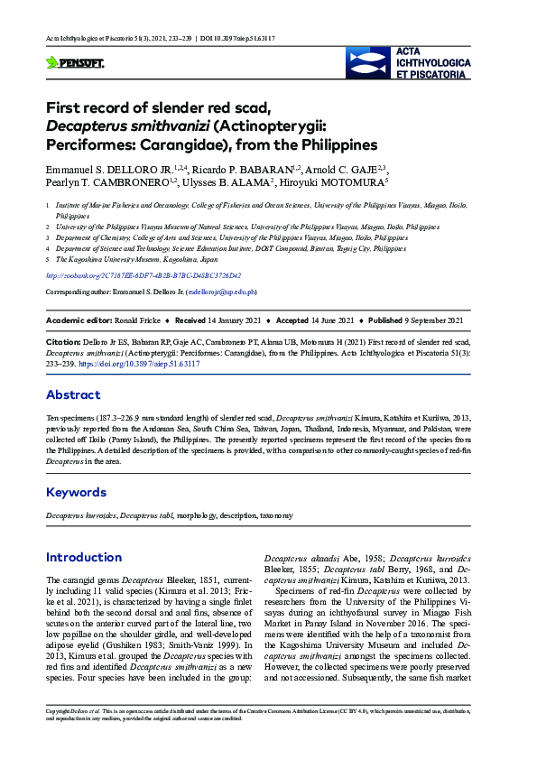 (PDF) First record of slender red scad, Decapterus smithvanizi ...