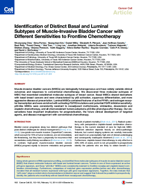 (PDF) Identification of Distinct Basal and Luminal Subtypes of Muscle ...
