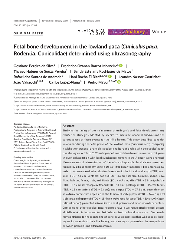 (PDF) Fetal bone development in the lowland paca ( Cuniculus paca ...