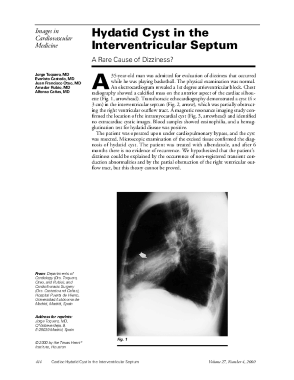 (PDF) Hydatid cyst in the interventricular septum: a rare cause of ...