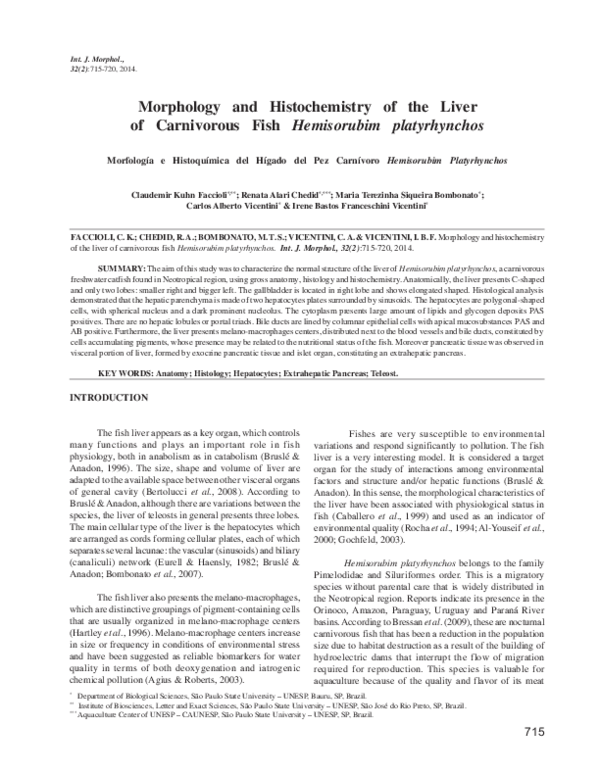 (PDF) Morphology and Histochemistry of the Liver of Carnivorous Fish ...