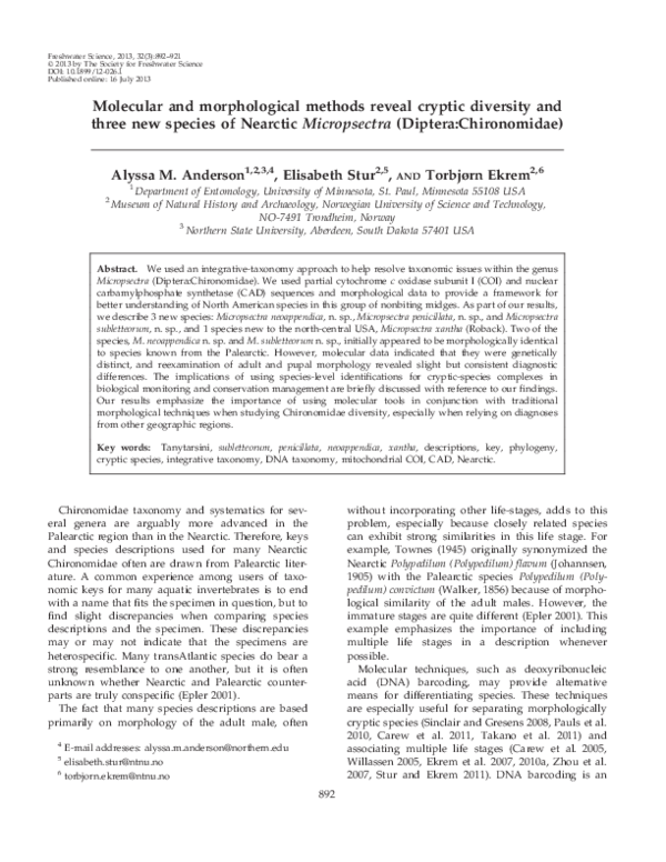 (PDF) Molecular and morphological methods reveal cryptic diversity and ...