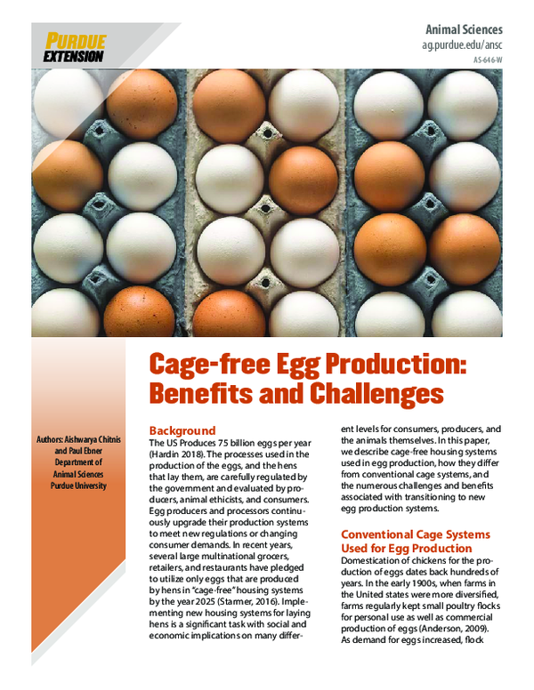 (PDF) Cage-free Egg Production : Benefits and Challenges