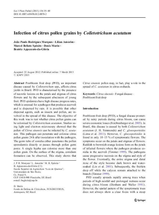(PDF) Infection of citrus pollen grains by Colletotrichum acutatum