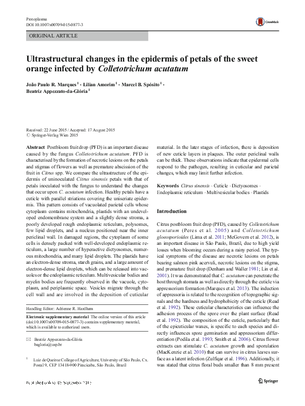 (PDF) Ultrastructural changes in the epidermis of petals of the sweet ...