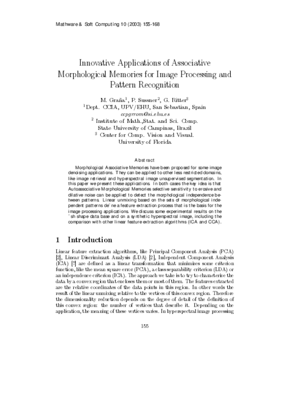 (PDF) Innovative applications of associative morphological memories for ...