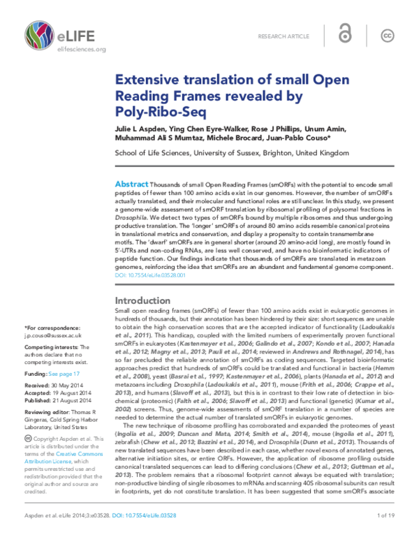 (PDF) Extensive translation of small Open Reading Frames revealed by Poly-Ribo-Seq