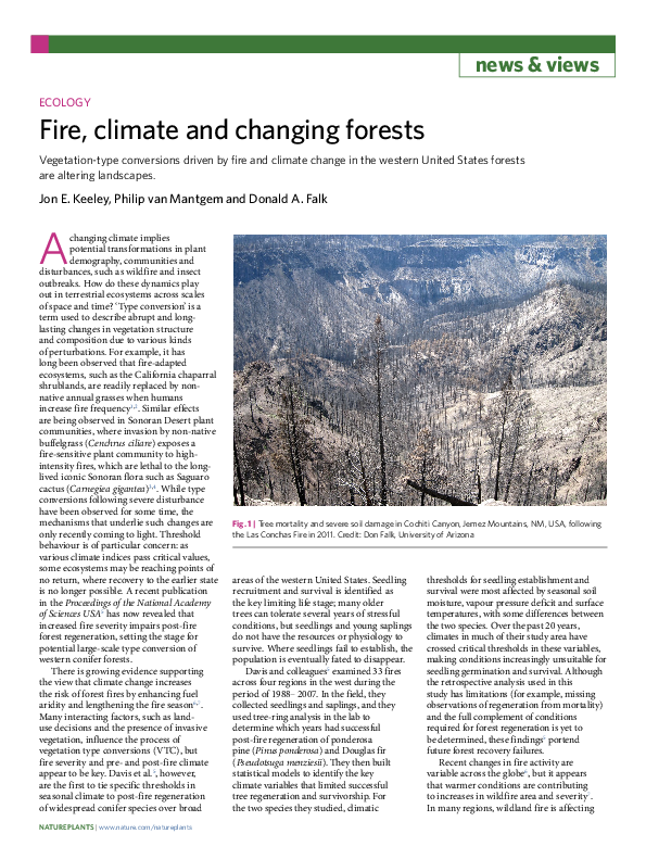 (PDF) Fire, climate and changing forests