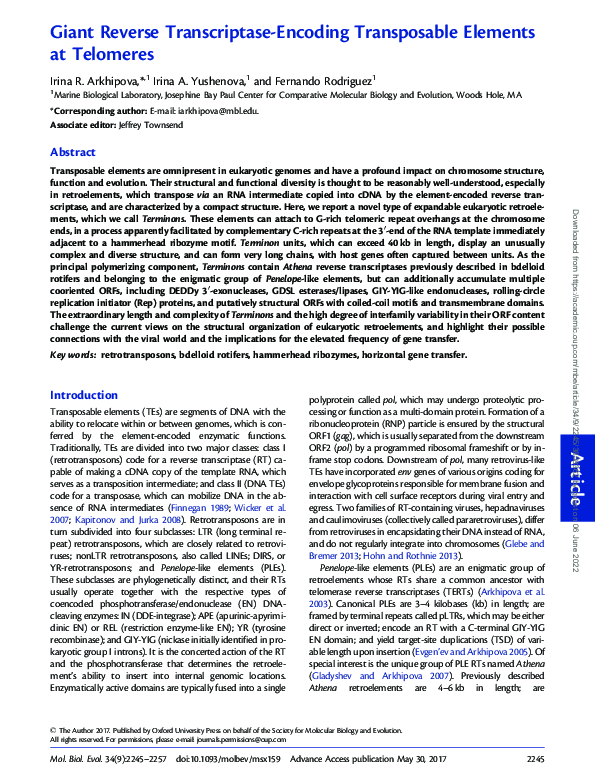 (PDF) Giant reverse transcriptase-encoding transposable elements at telomeres