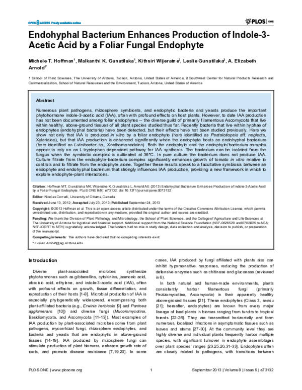 (PDF) Endohyphal Bacterium Boosts IAA in Fungal Endophyte