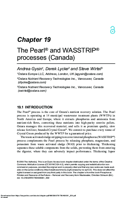 (PDF) The Pearl® and WASSTRIP® processes (Canada)