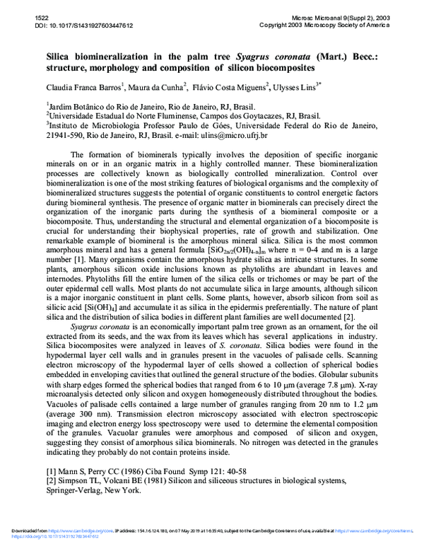 (PDF) Silica biomineralization in the palm tree Syagrus coronata (Mart ...