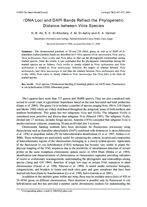 (PDF) rDNA Loci and DAPI Bands Reflect the Phylogenetic Distance ...