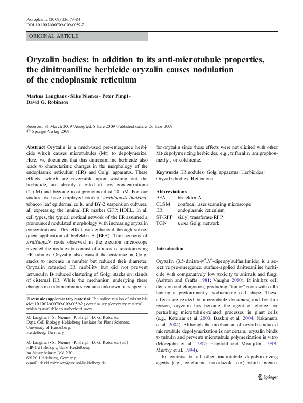 (PDF) Oryzalin Induces Nodulation in Endoplasmic Reticulum