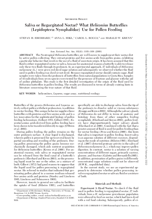 (PDF) Saliva or Regurgitated Nectar? What Heliconius Butterflies ...