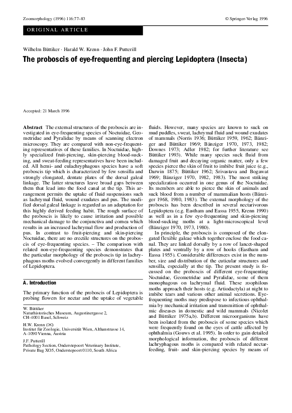 (PDF) The proboscis of eye-frequenting and piercing Lepidoptera (Insecta)