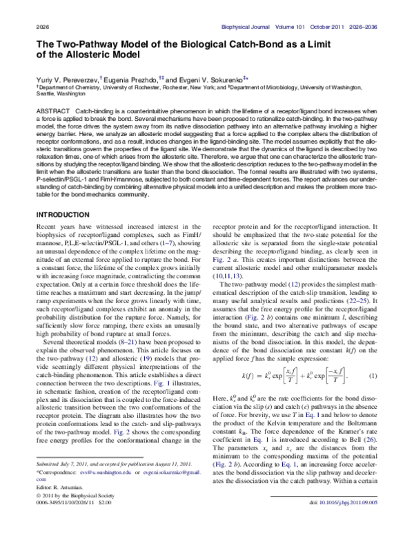 (PDF) The Two-Pathway Model of the Biological Catch-Bond as a Limit of ...