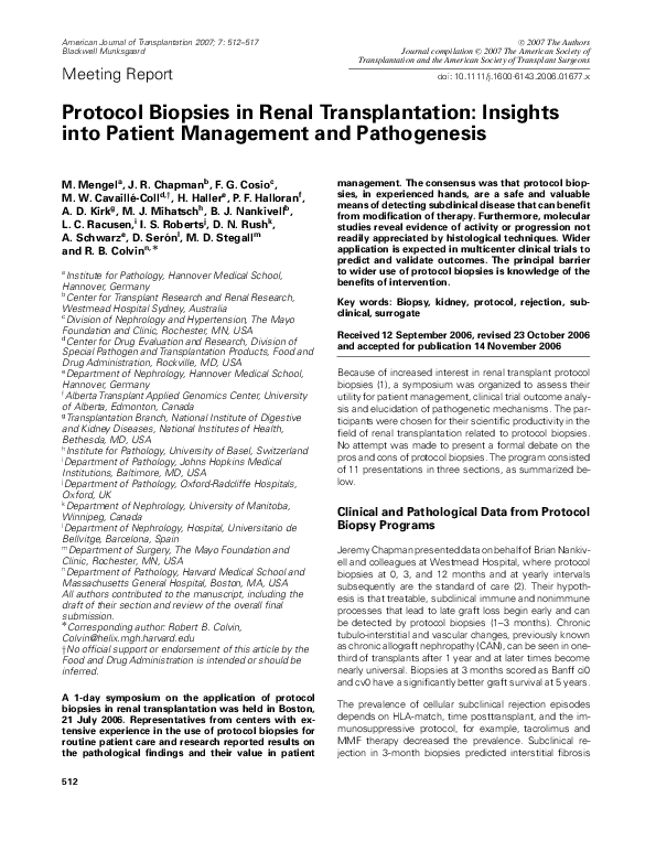 (PDF) Protocol Biopsies in Renal Transplantation: Insights into Patient ...